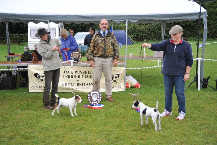 JRTCGB National Show: A Celebration of Jack Russell Terriers - JRTCGB