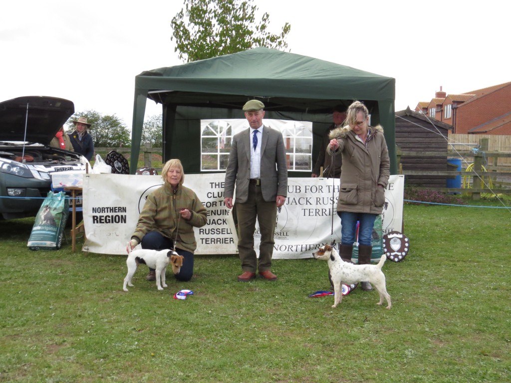 Northern Region Show 2016 - JRTCGB